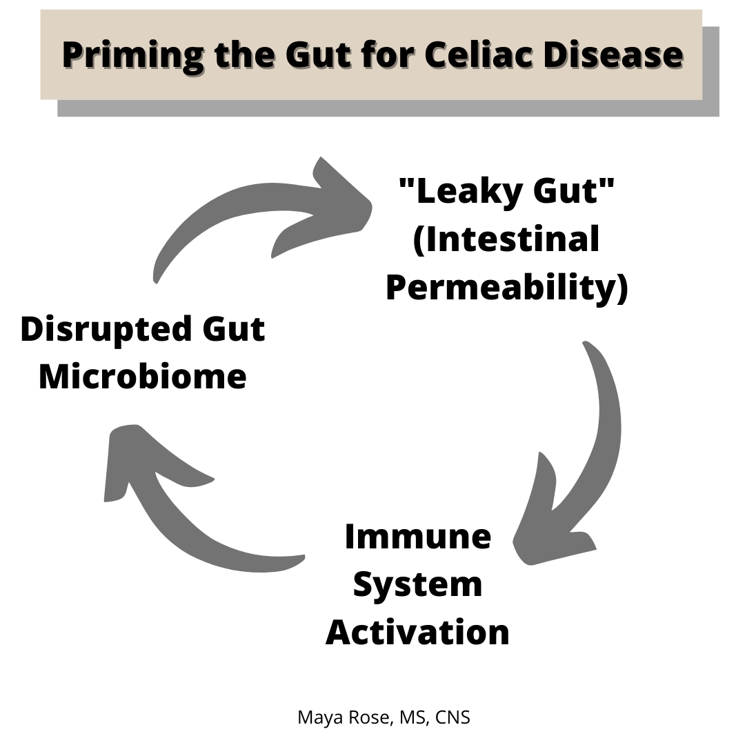 What causes celiac disease? - Gluten Free & Gut Health Nutritionist